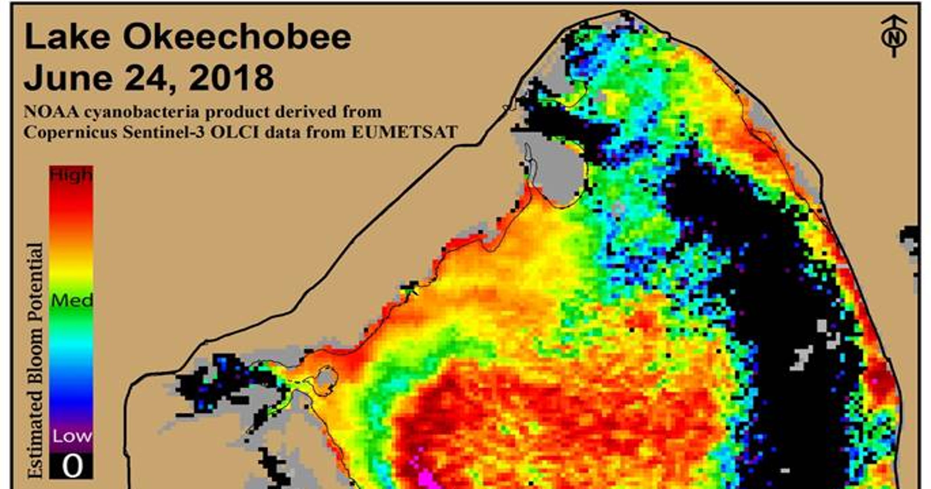 Lake Okeechobee algae bloom spread shown in EUMETSAT satellite images
