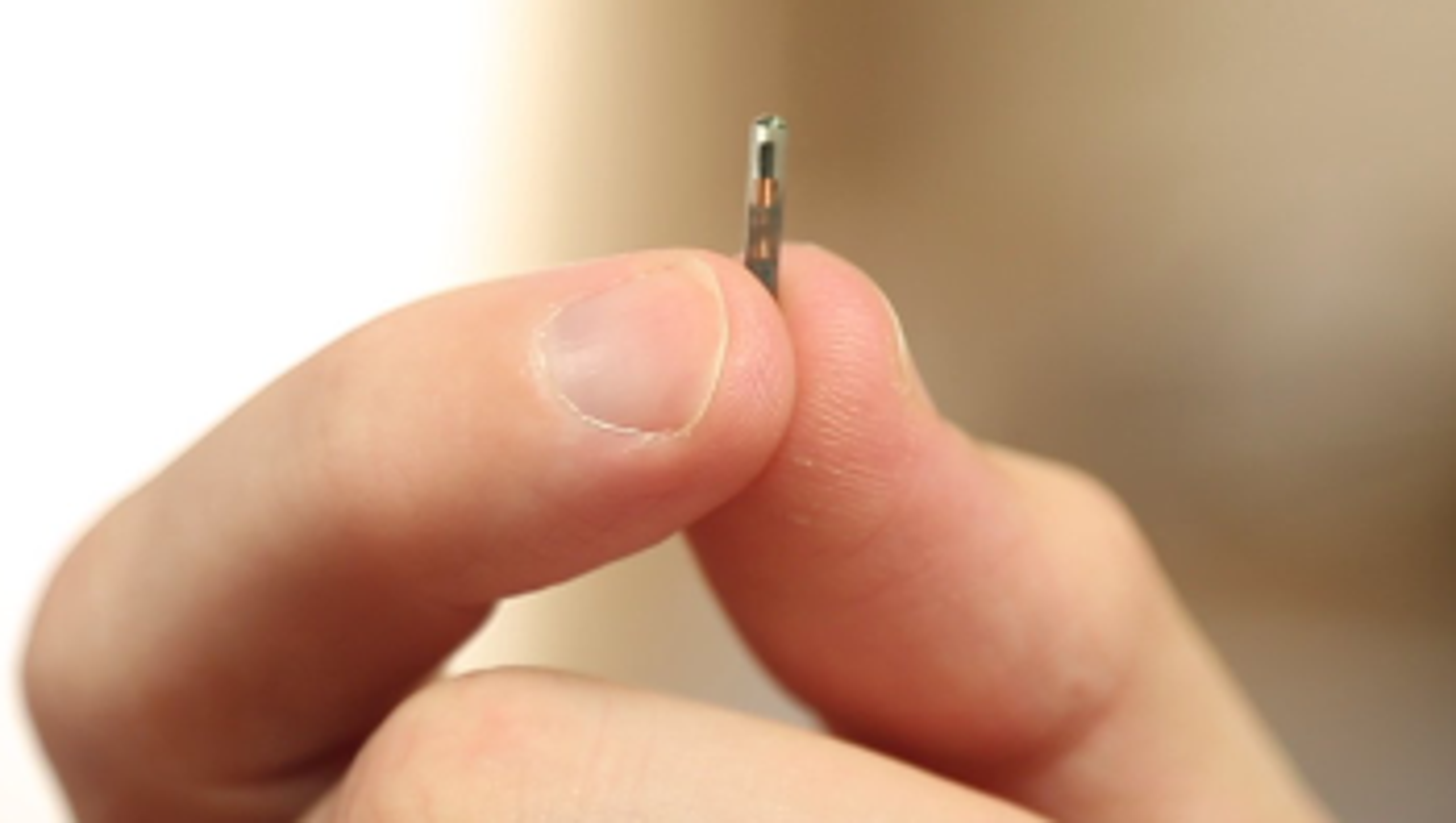 Are Embedded Microchips Dangerous Ask The Swedes And Pets are-embedded-microchips-dangerous-ask-the-swedes-and-pets