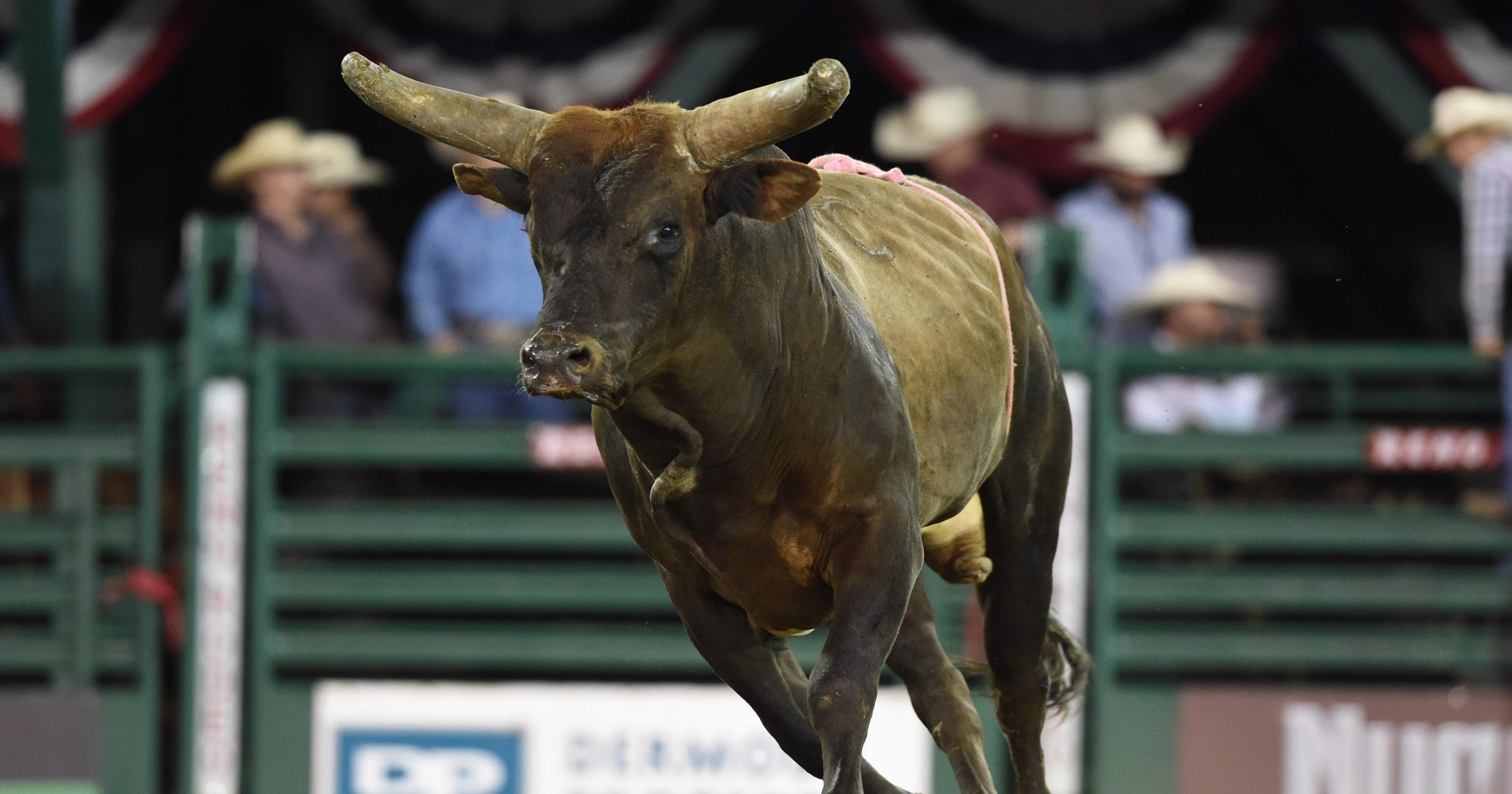 Bull rider suffers broken neck at Reno Rodeo