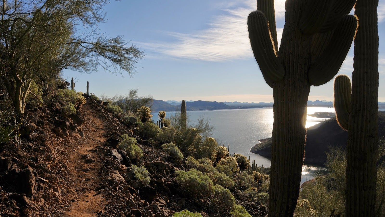 Arizona's birthday: Arizona became a state on Valentine's Day, February ...