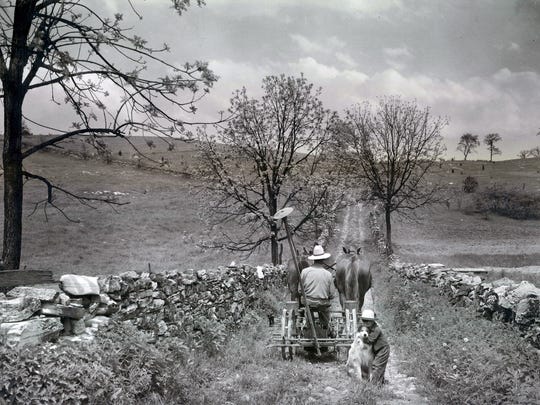 Stone fences an ode to early Irish immigrants