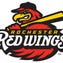 Rochester Red Wings unveil new logo