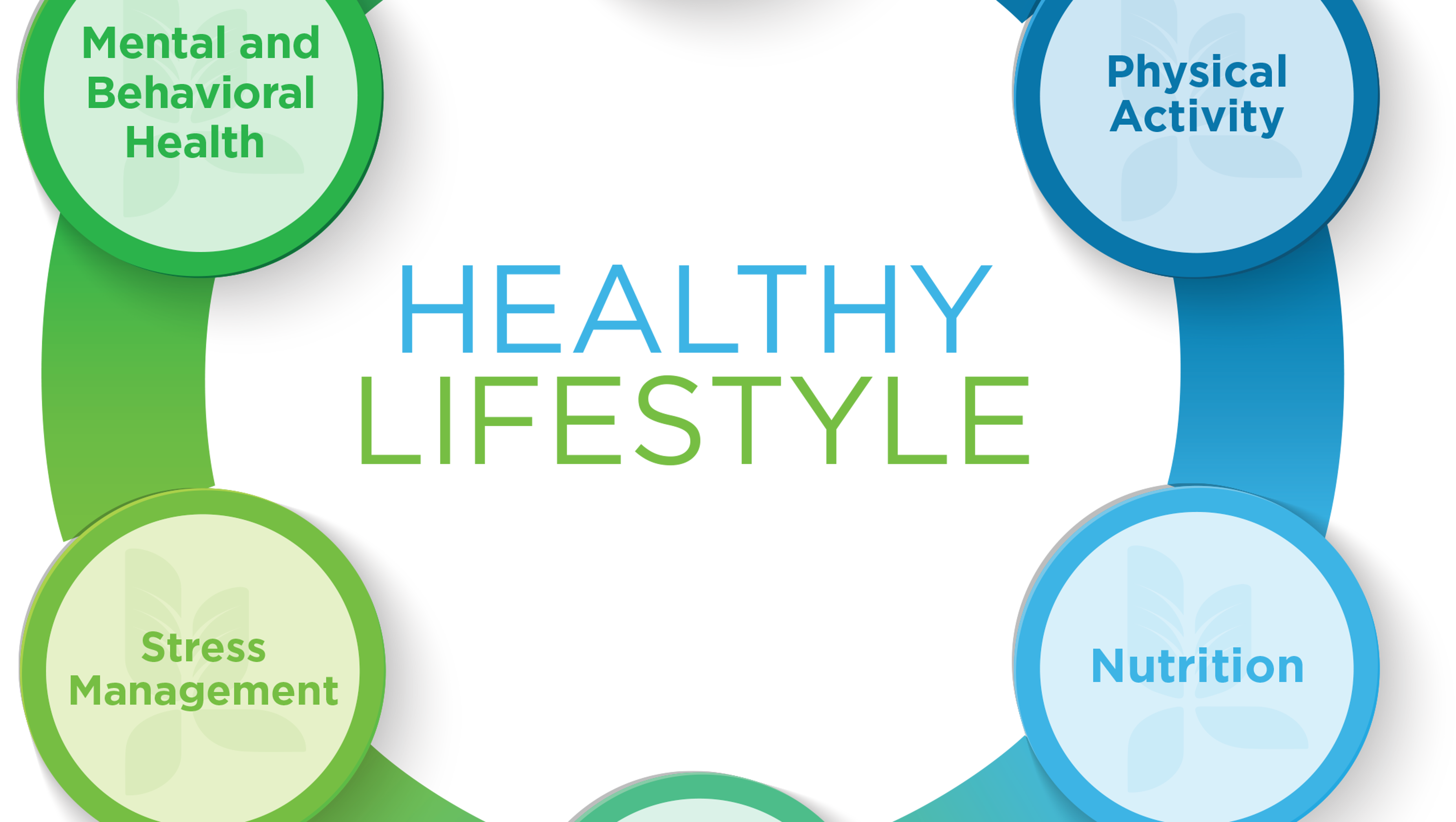 Wellness Wheel will help keep health on track for the new year