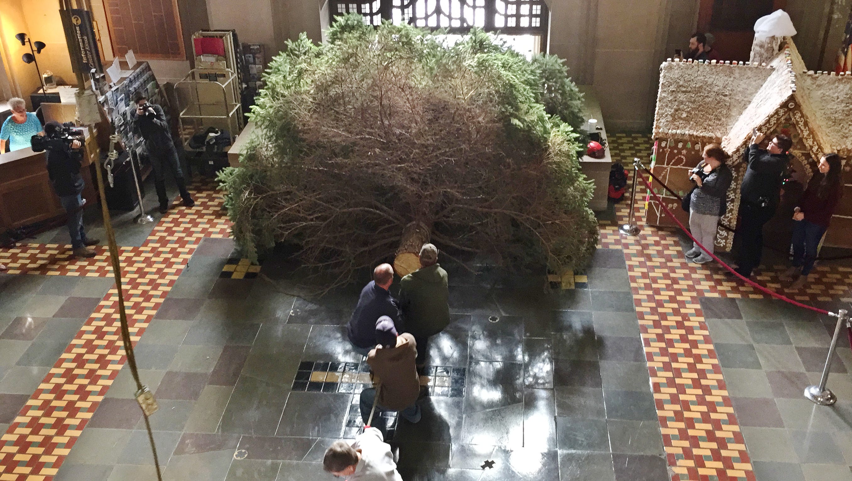 Purdue's tree arrived Monday