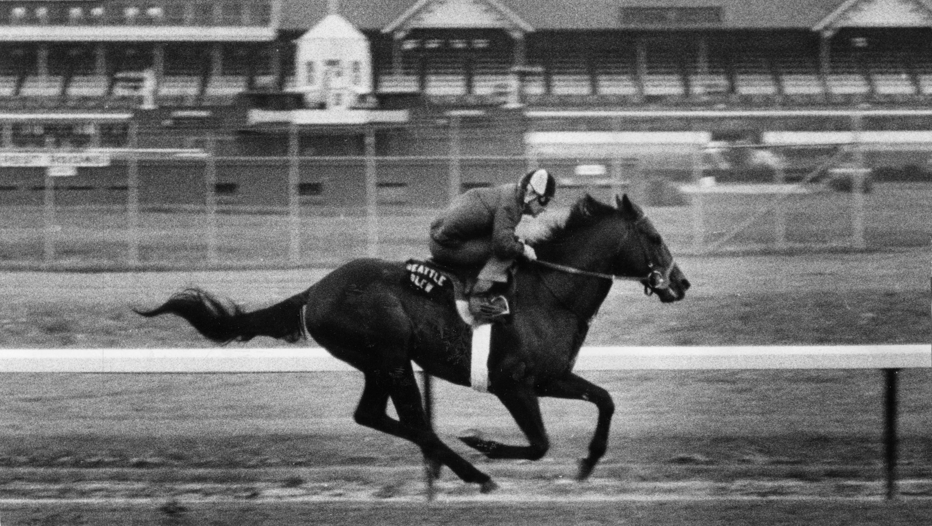40 years ago, Seattle Slew 'em in remarkable Triple Crown run