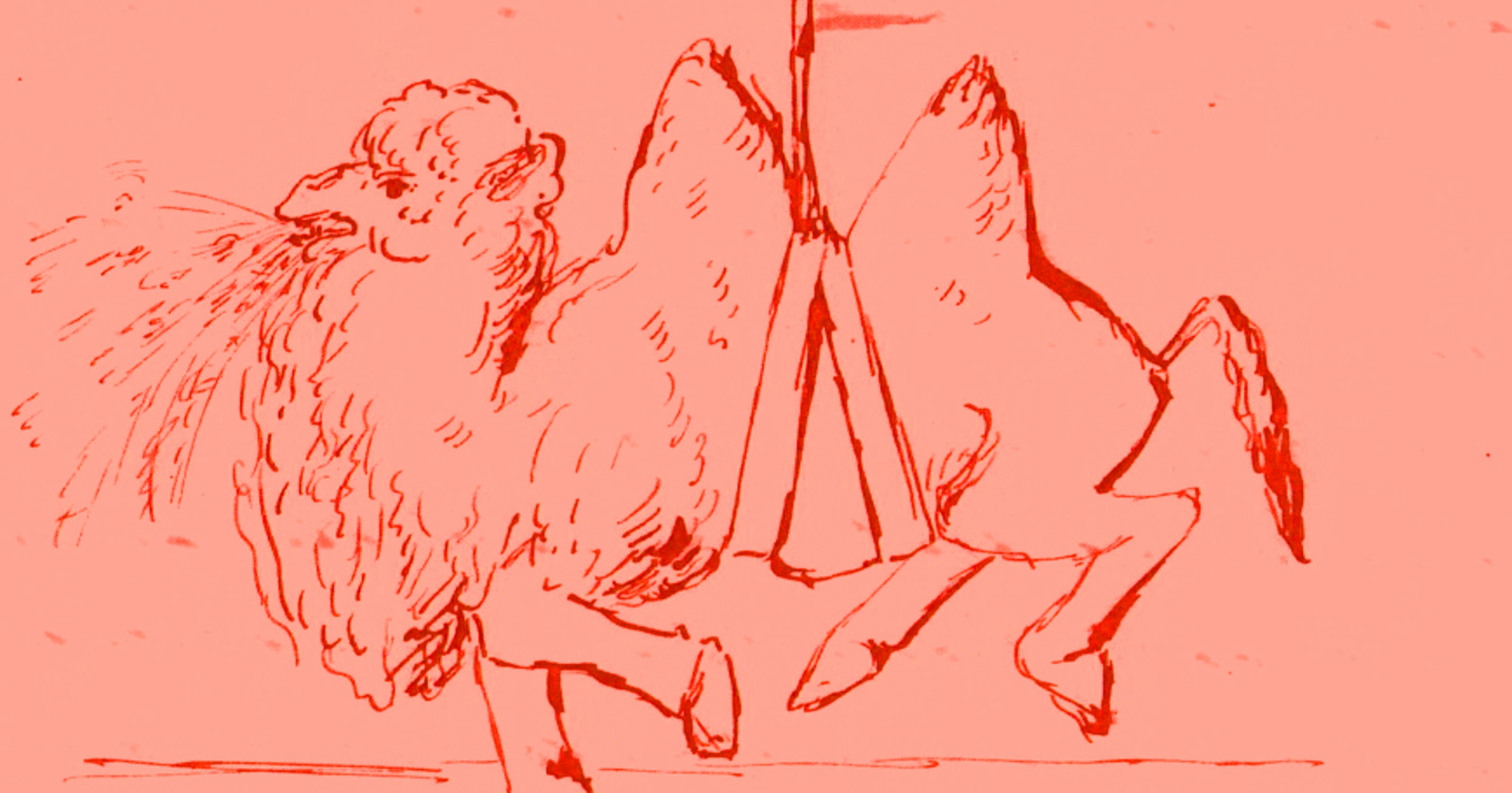 This is the ultimate Arizona ghost story