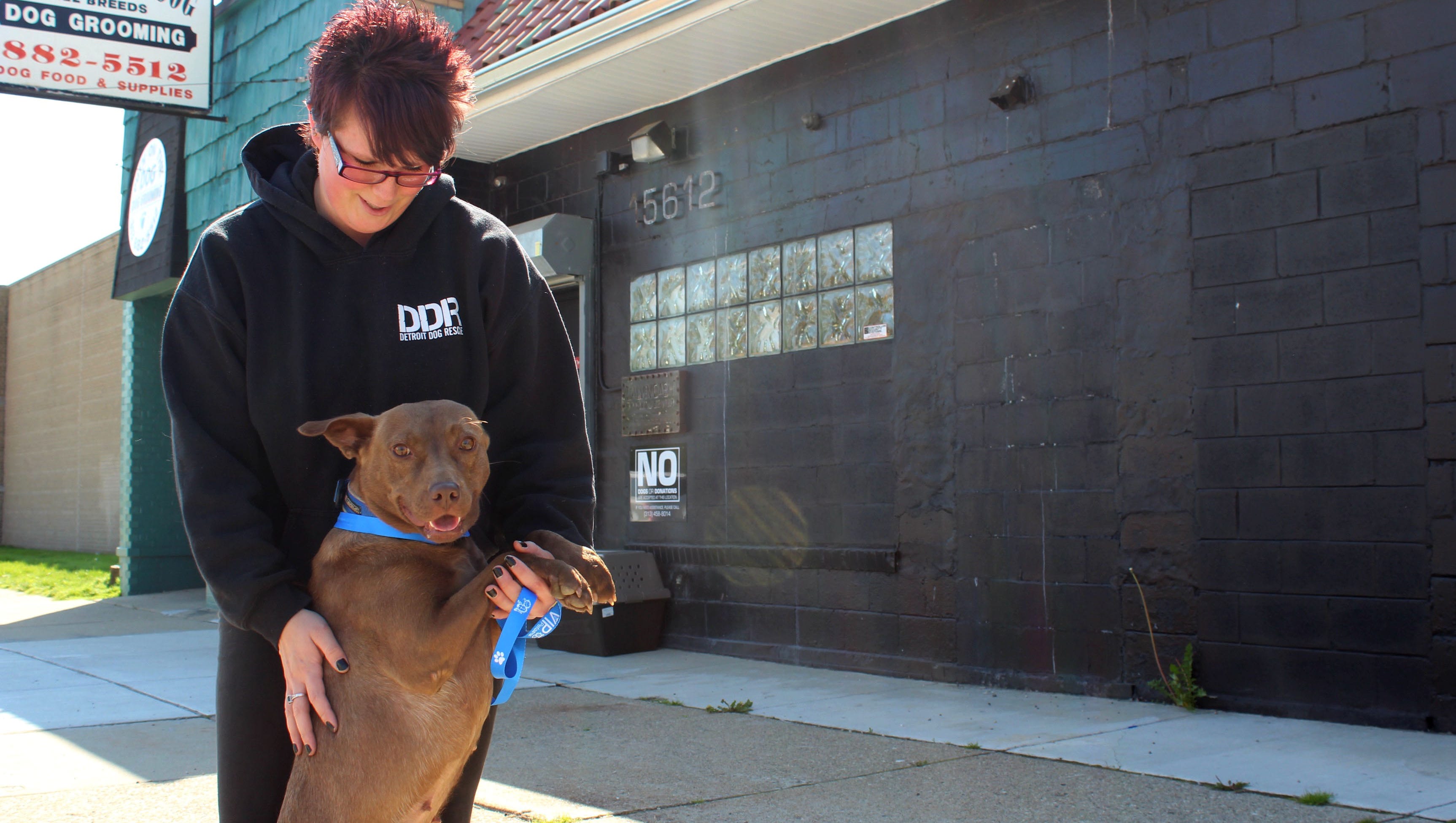 Detroit Dog Rescue helps find dogs a home