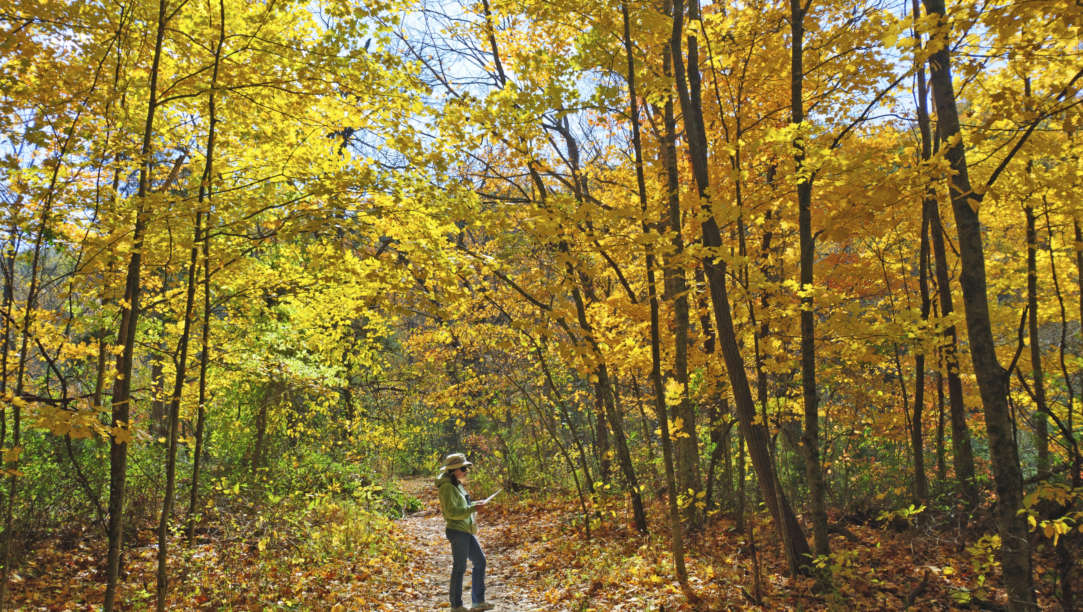 Indiana's Brown County State Park added to National Register