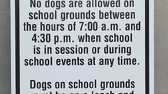 Are Dogs Allowed In School Grounds
