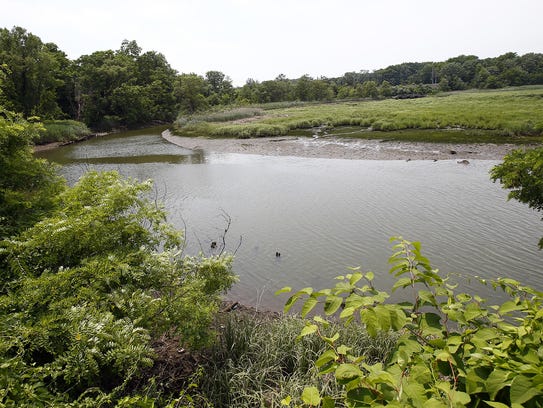 100 years later, shark attacks still echo