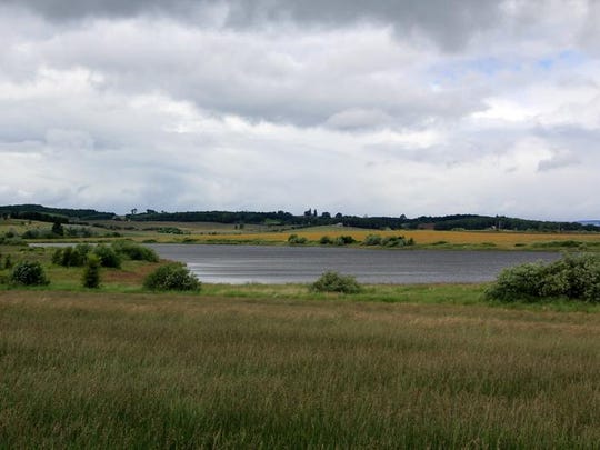 Baskett Slough National Wildlife Refuge has trails, views