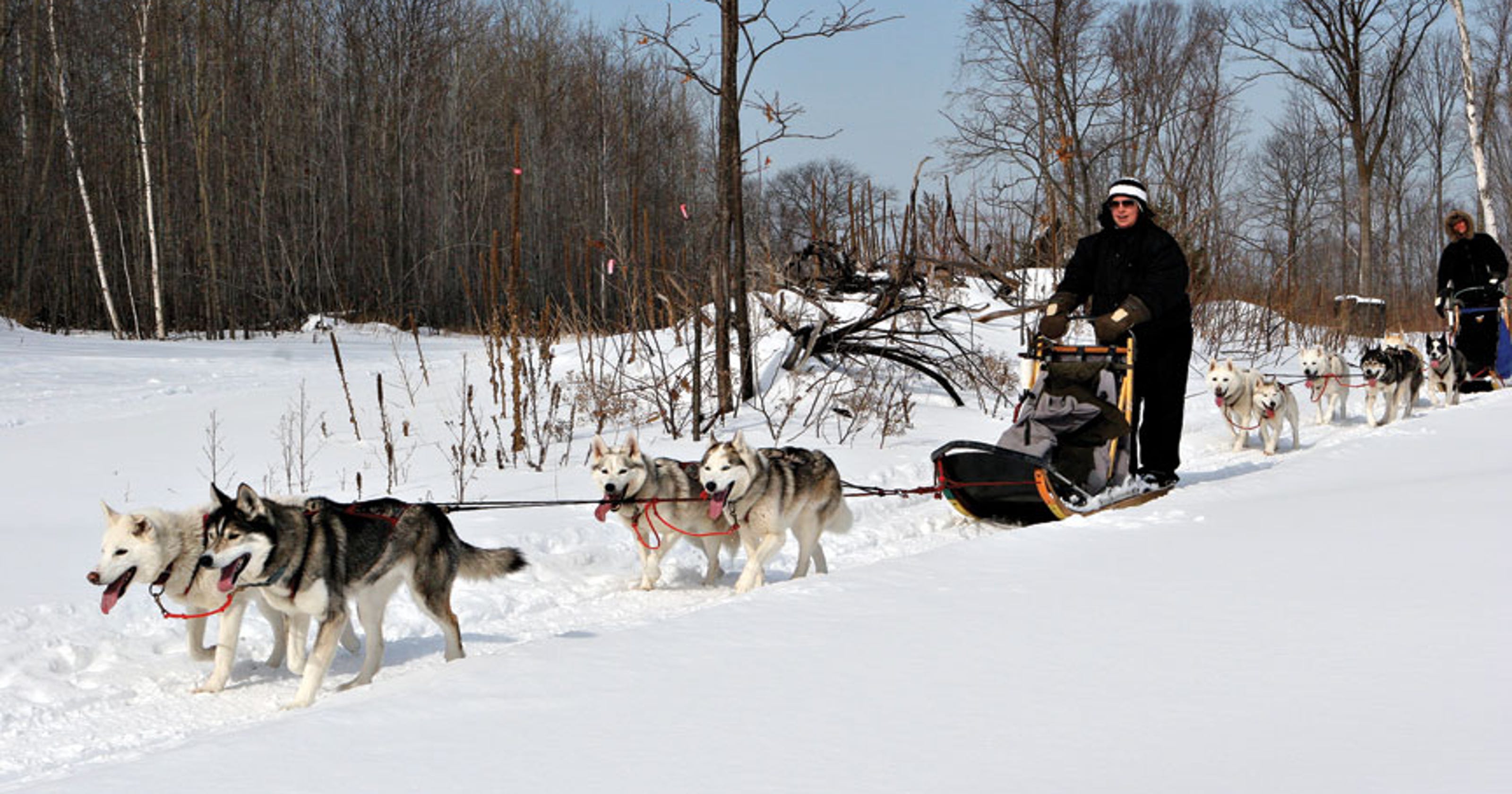 9 winter activities from dog sledding to ice climbing to try in Wisconsin
