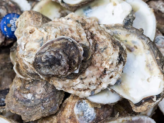 Working to save oysters, one restaurant at a time