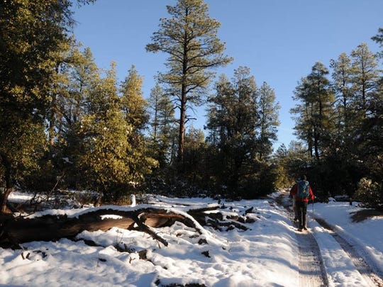 Arizona hike: Monument Peak Loop, Payson