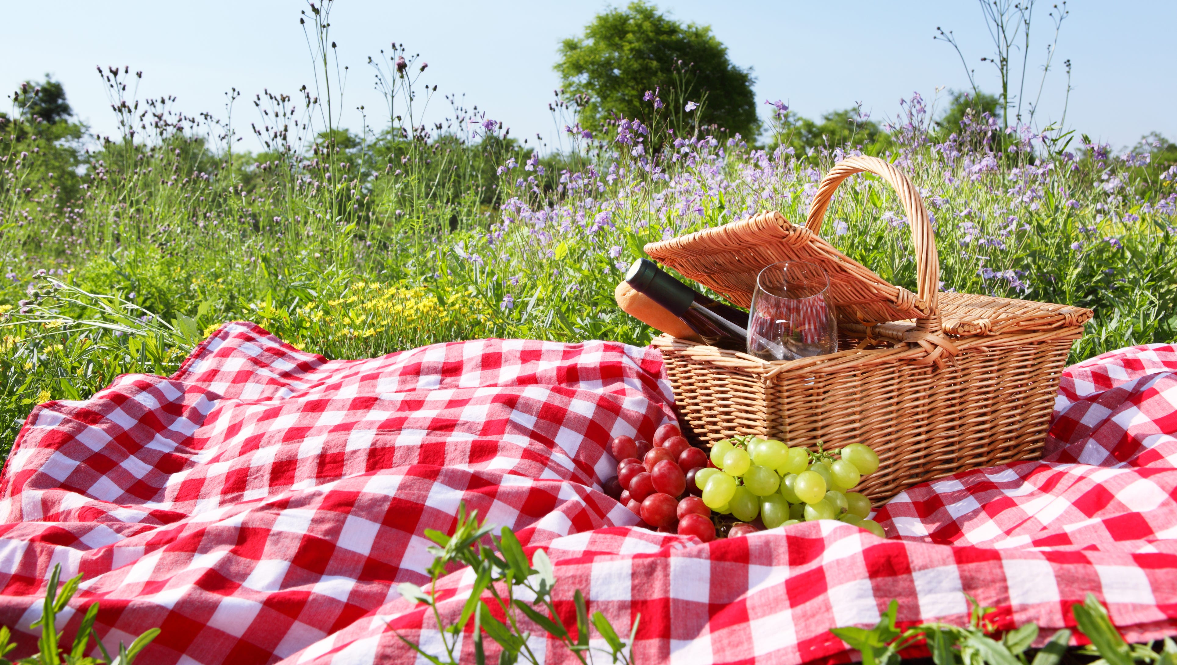 Family Fun Picnic Package 
