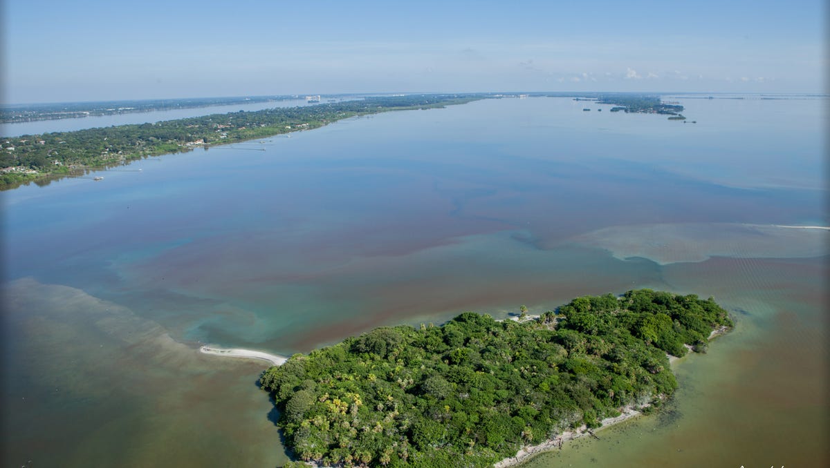 Gallery: Aerial photos show algae in Banana River