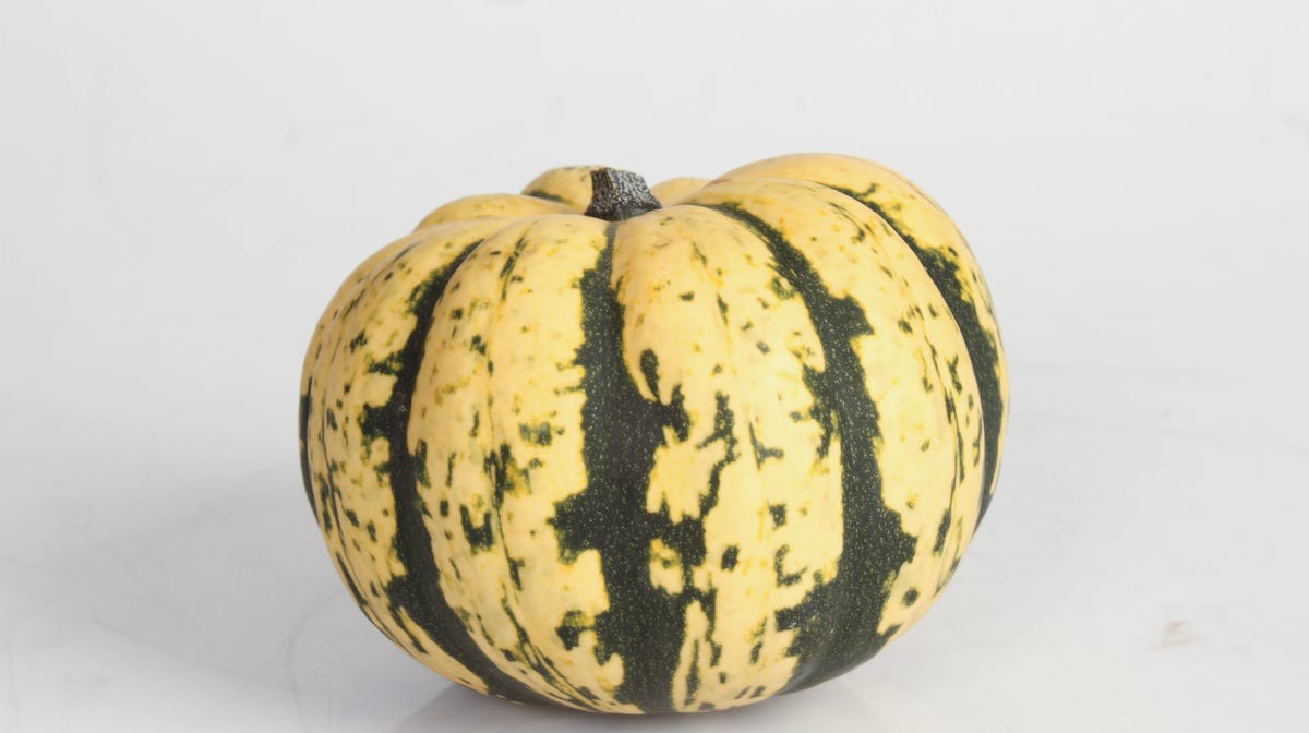How to identify various winter squash varieties