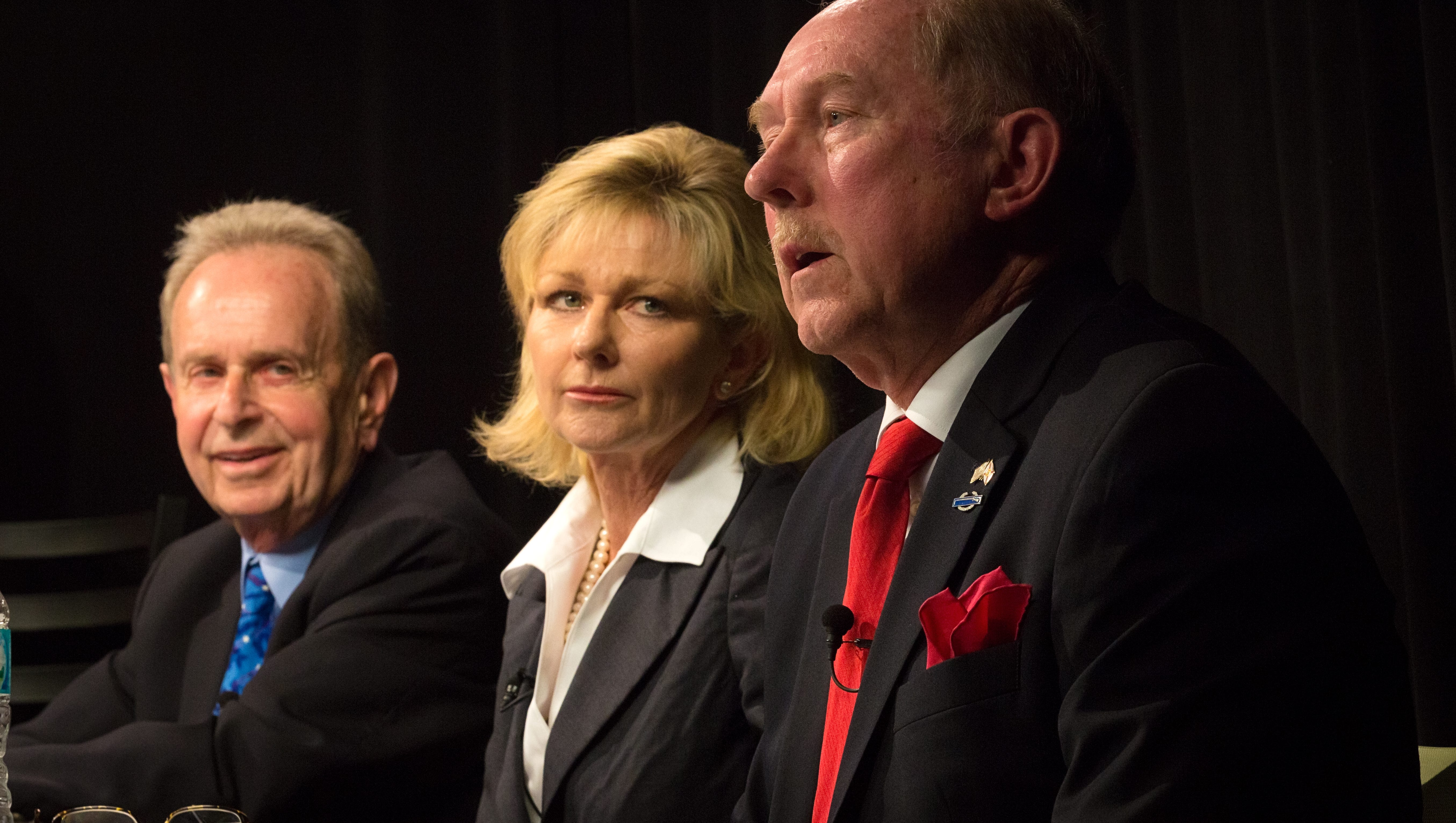 Teresa Heitmann enters 2020 Naples mayoral race, will challenge Bill ...