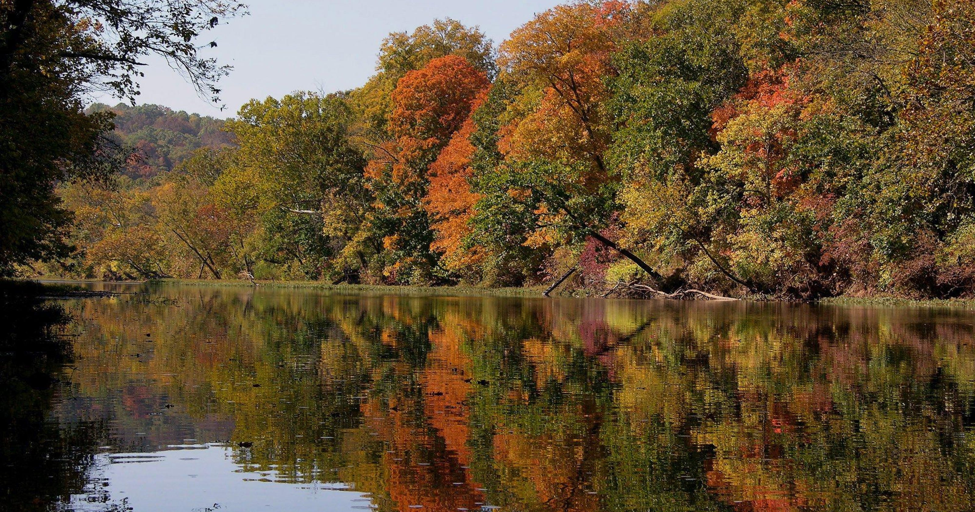 7 places to see fall colors in Springfield and the Ozarks