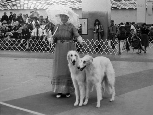 Dogs in Detroit: From menace to a member of the family