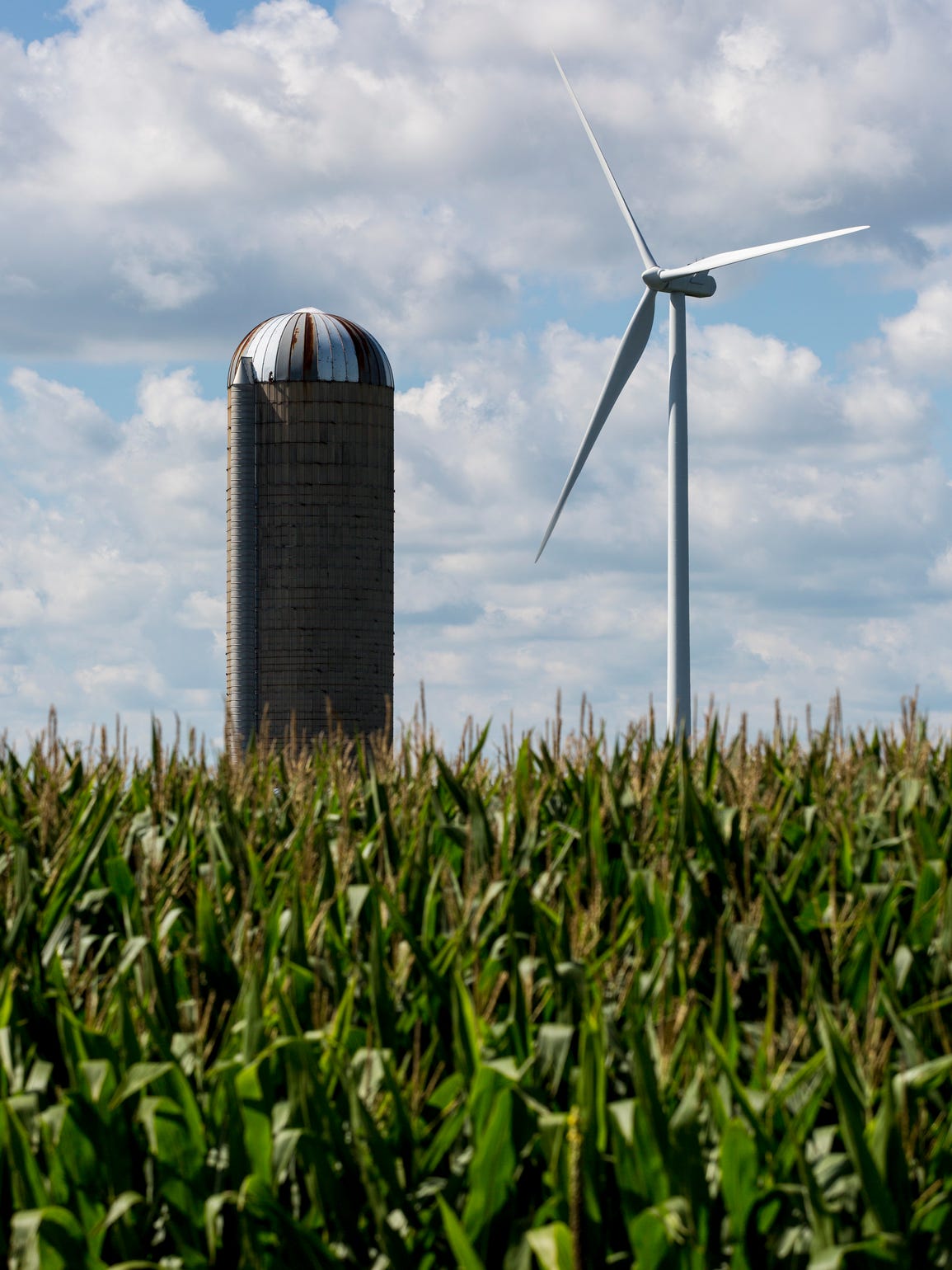 Wind turbines: The money and the myths