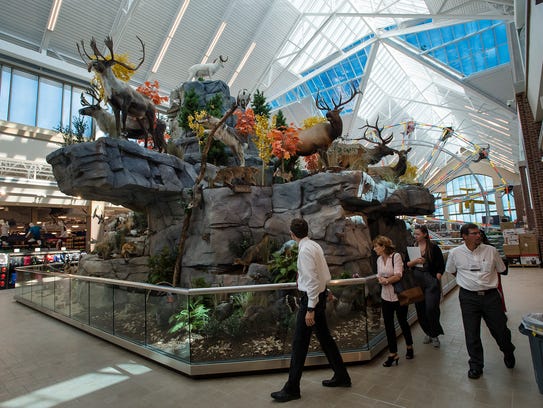 5 things to do at Scheels besides shopping