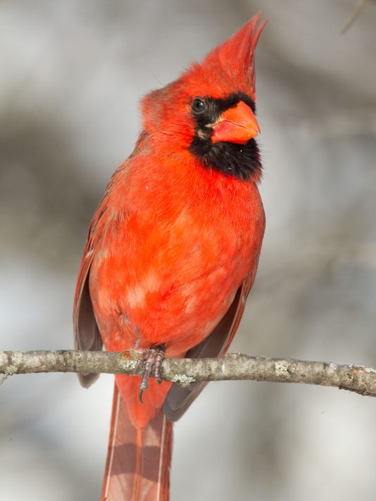 Named for a Catholic religious figure? Yes!