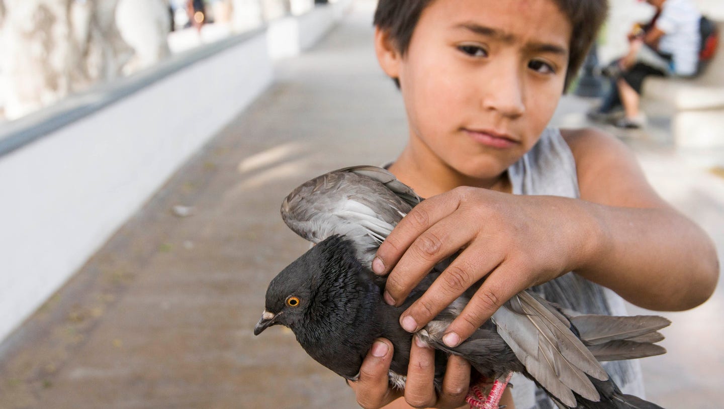 A human smuggler, and the wall that will make him rich