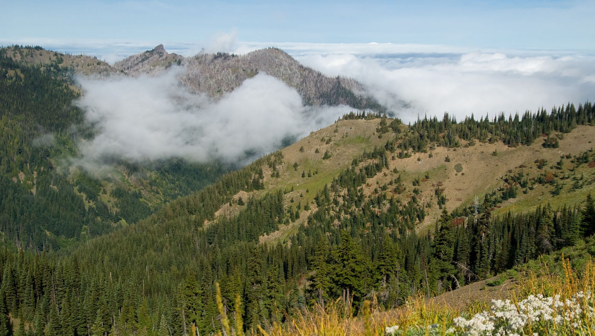 America the wild: Where to find untouched wilderness