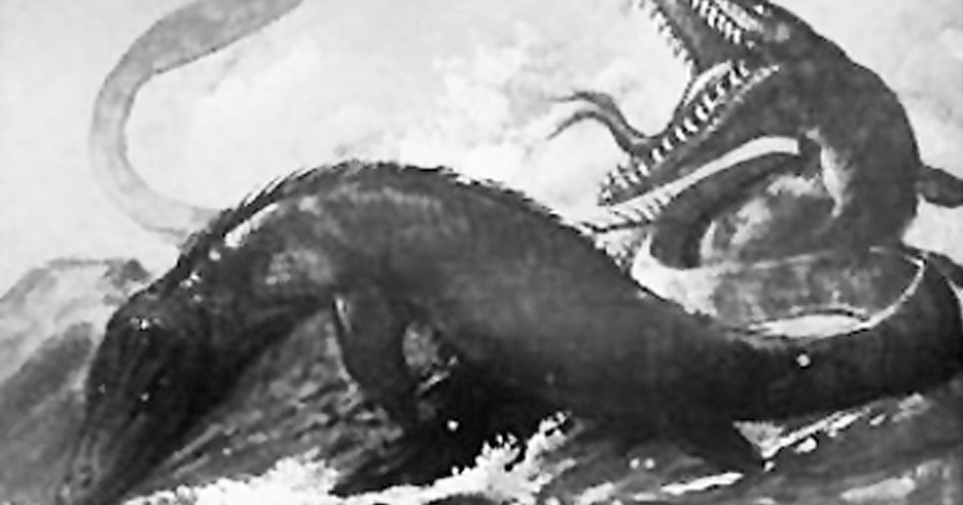 Stranger Jersey: The Monster of Lake Hopatcong