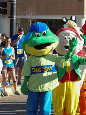 Dig 'Em Dash comes down to the wire