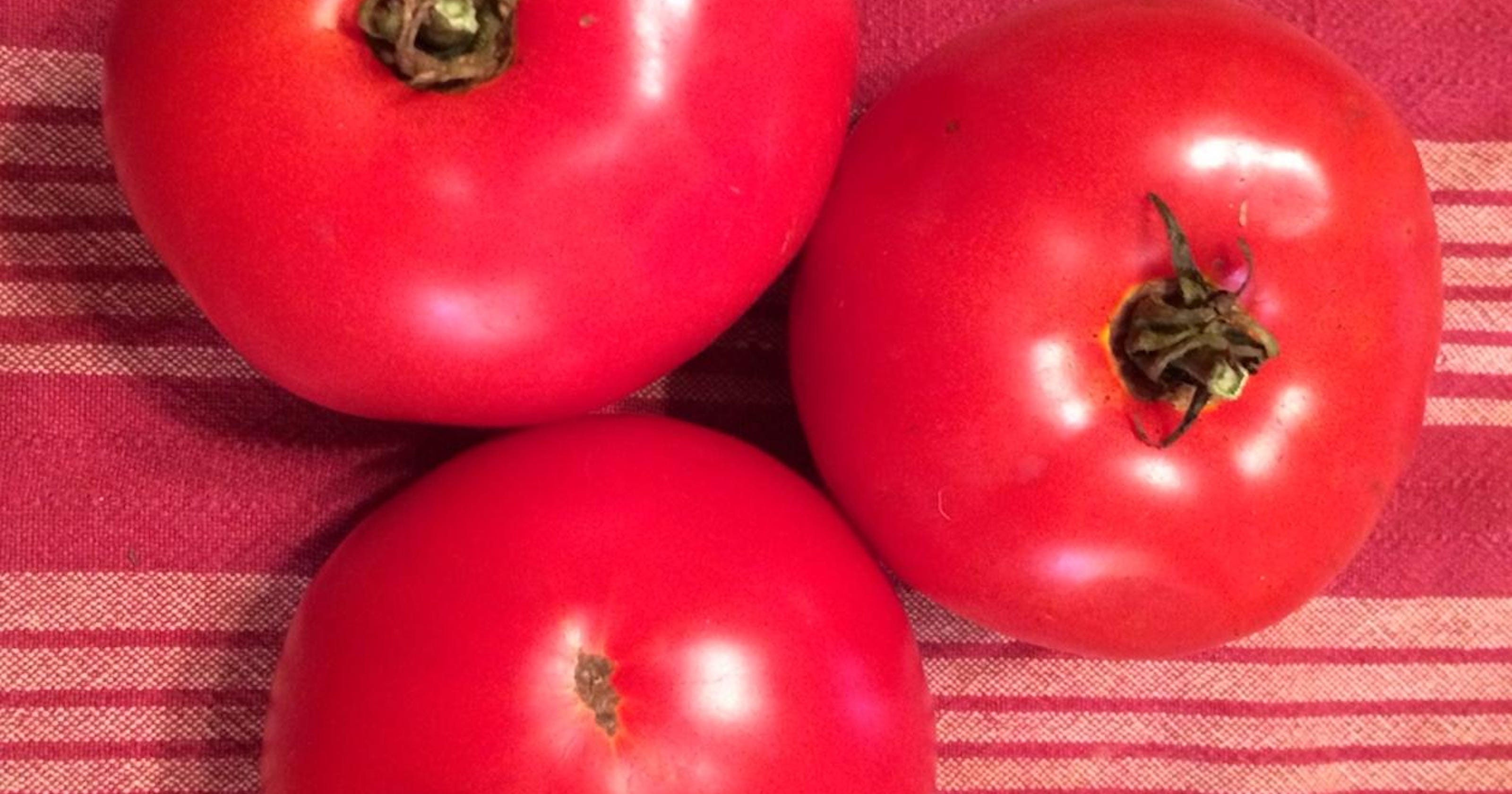 Biltmore tomato variety nears perfection