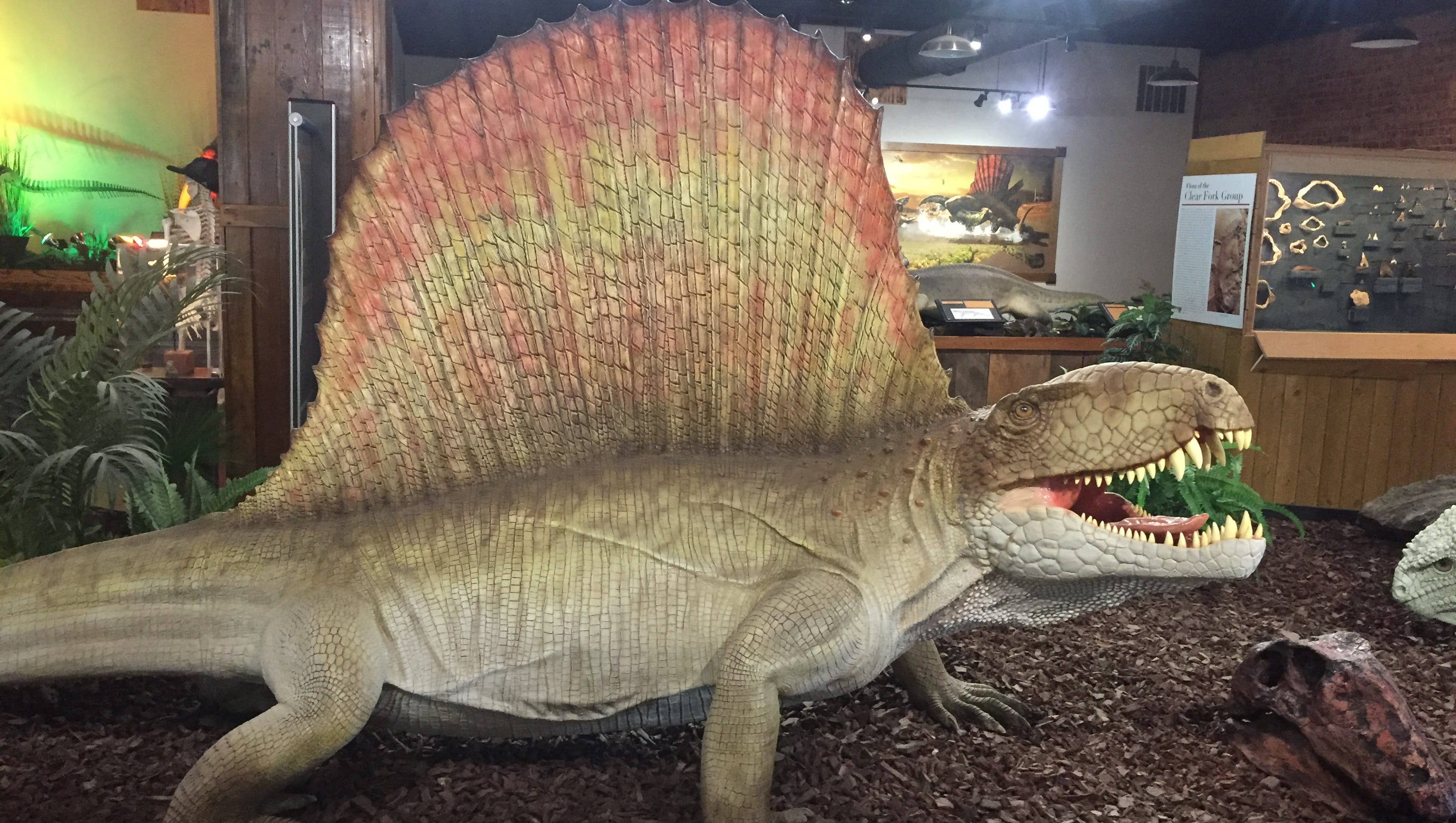 Dimetrodon