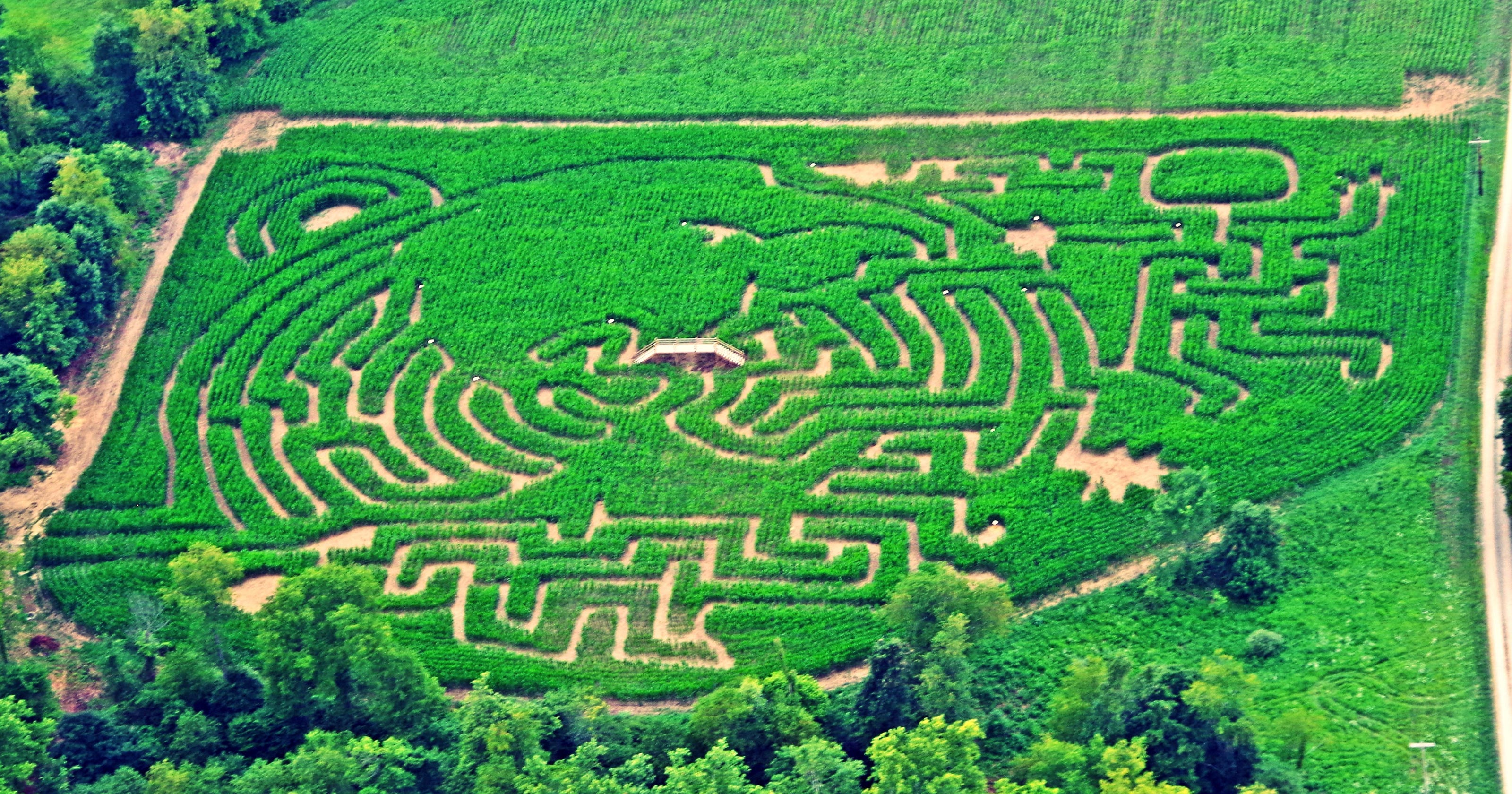 Space-themed corn maze to open in September