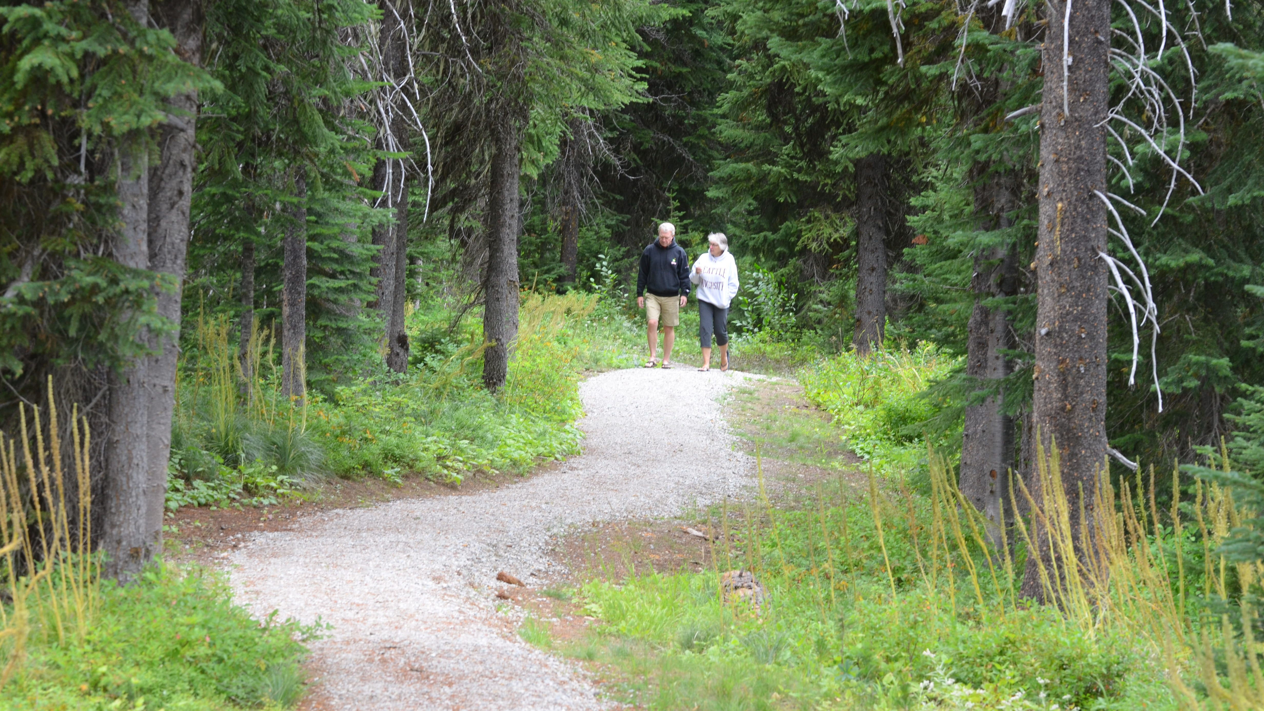 New trails await visitors to Lolo Pass
