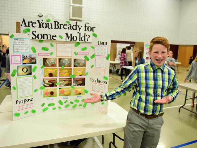 13 photos: Prairie Ridge science fair