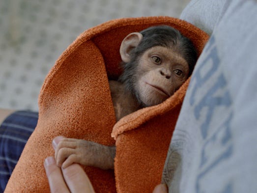 Review: 'War for the Planet of the Apes' hits glorious stride in third film