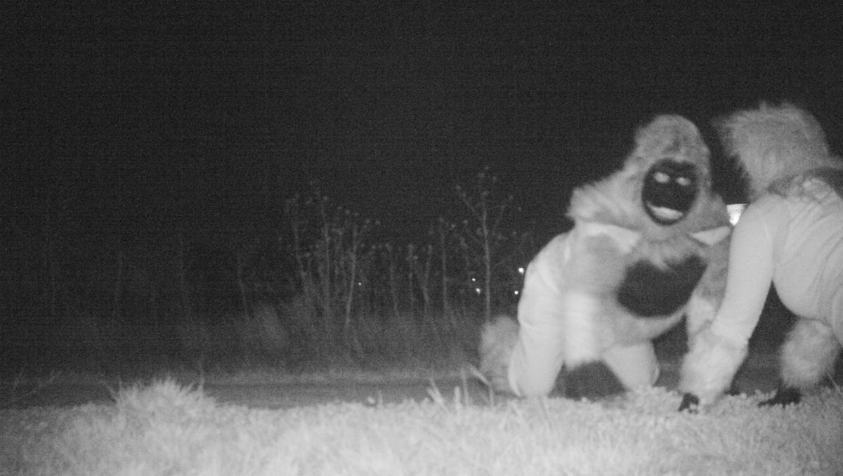 Police find hilarious photos on trail camera Police find hilarious photos on trail camera