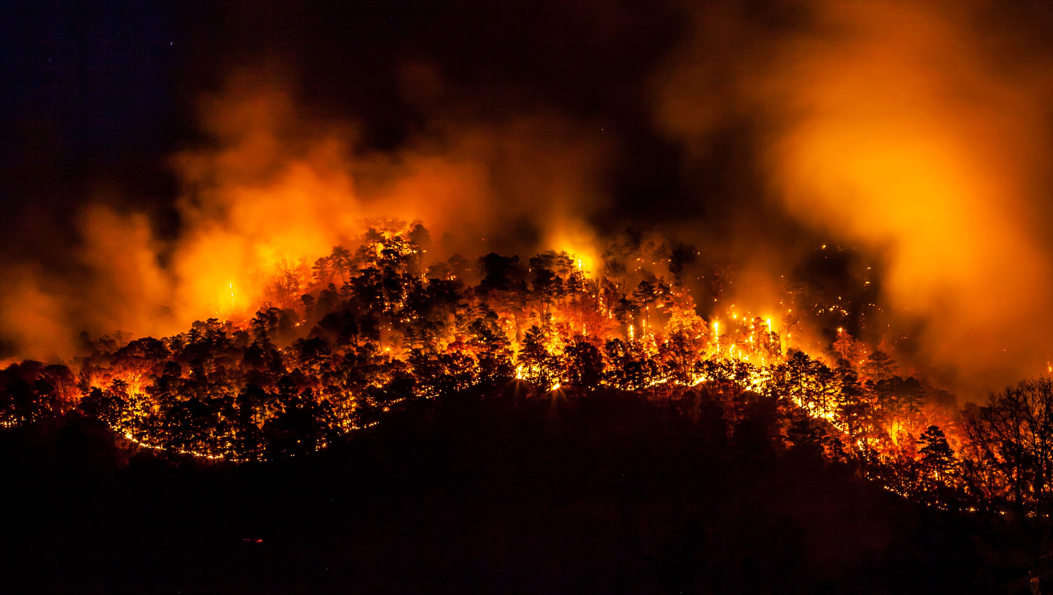 By the numbers: Southeast forest fires fast facts, figures