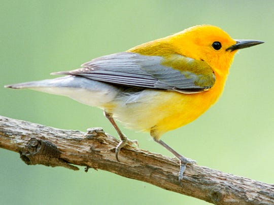 Discover natural wonders beyond Biloxi's casinos