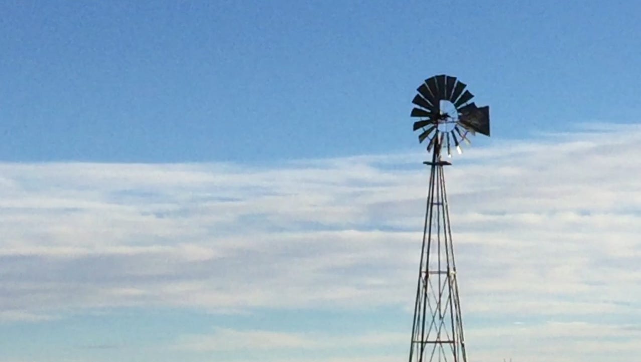 Officials crack down on wind farms that kill birds, bats