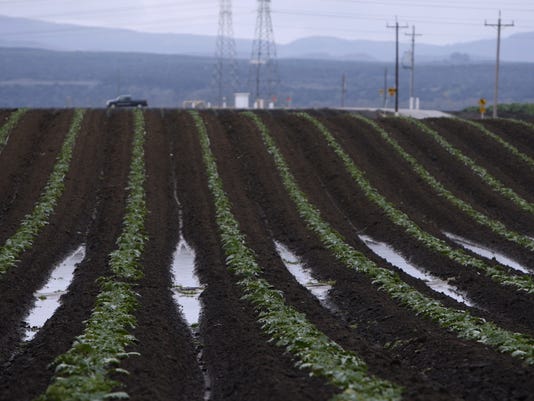 Learn about Salinas Valley agriculture