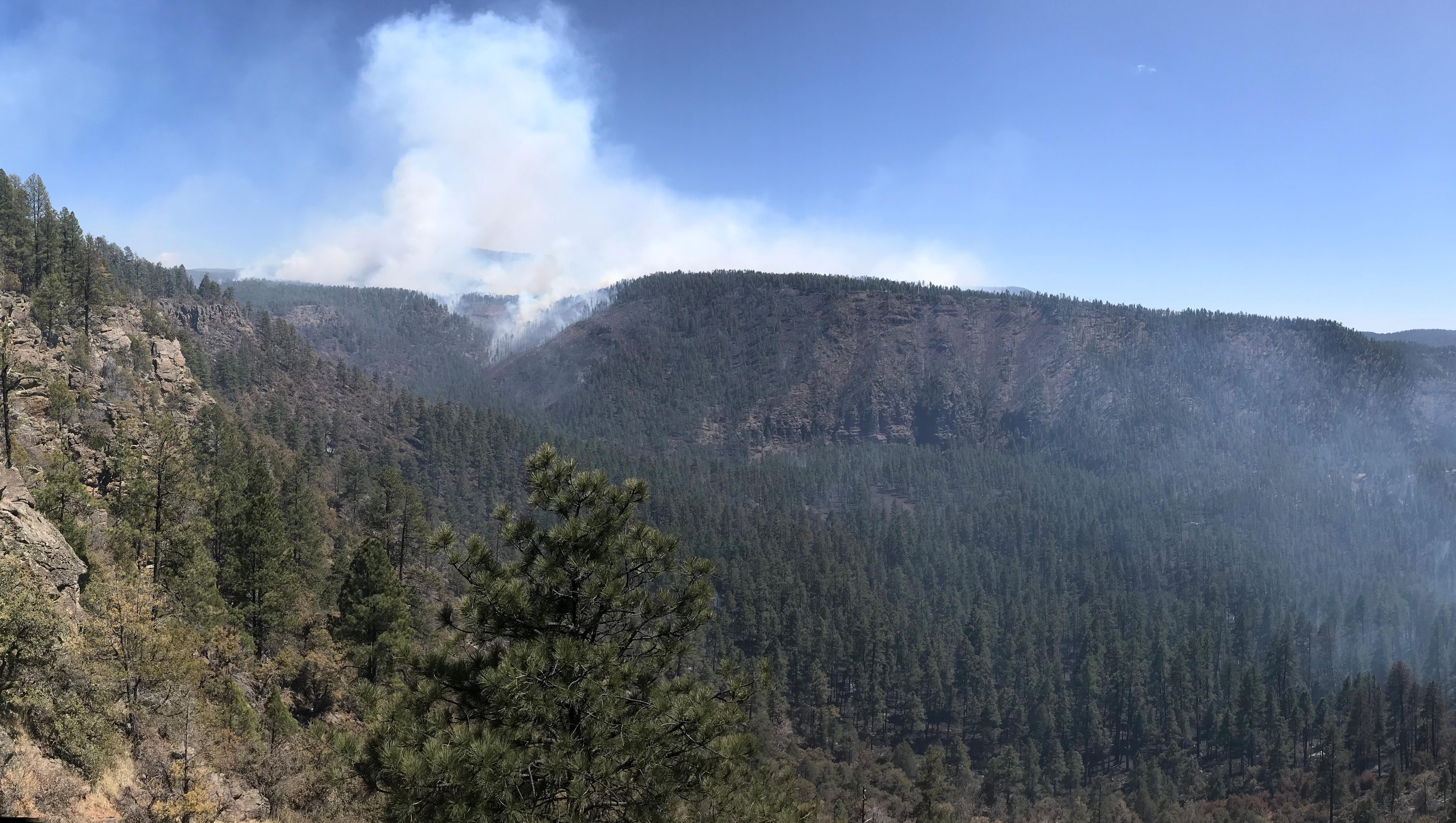 Rattlesnake Fire: Blaze spreads to 2,644 acres in eastern Arizona