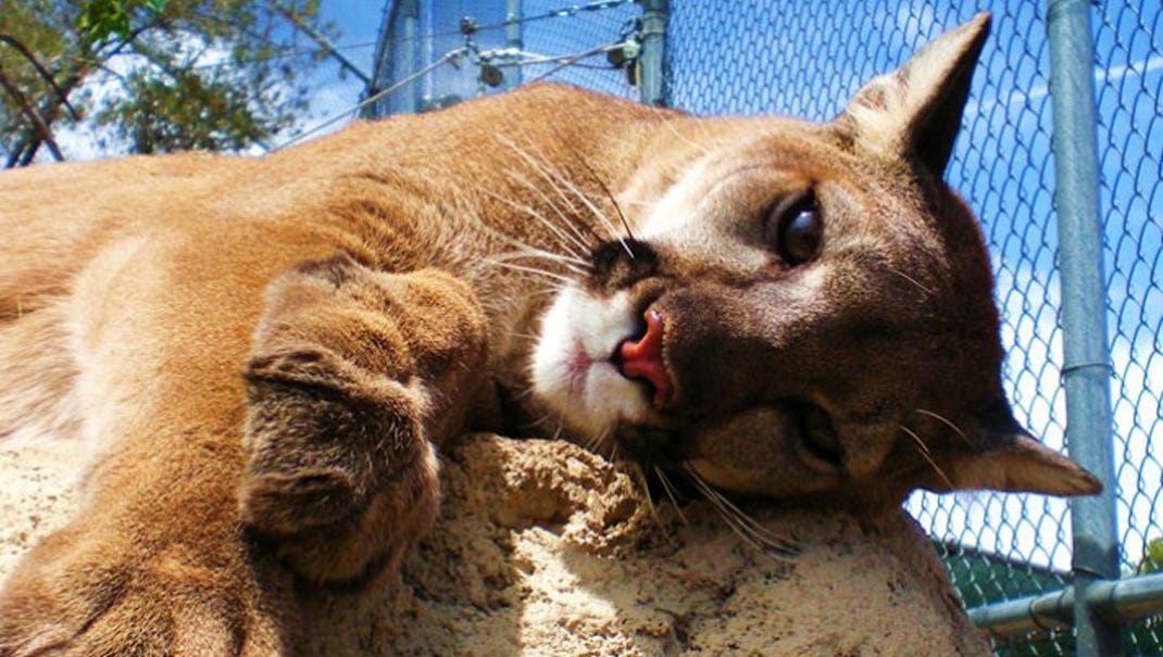 Best things to do in Prescott, AZ