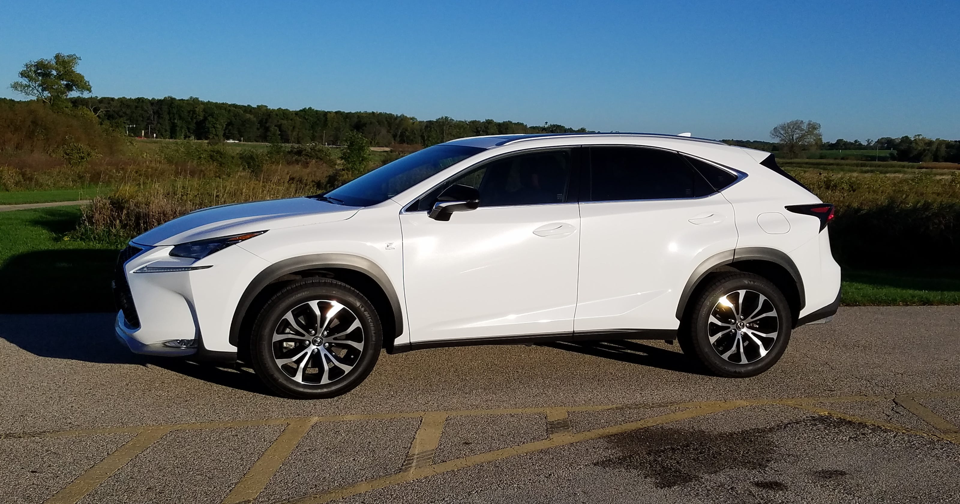 Savage on Wheels: Lexus NX 200t F Sport