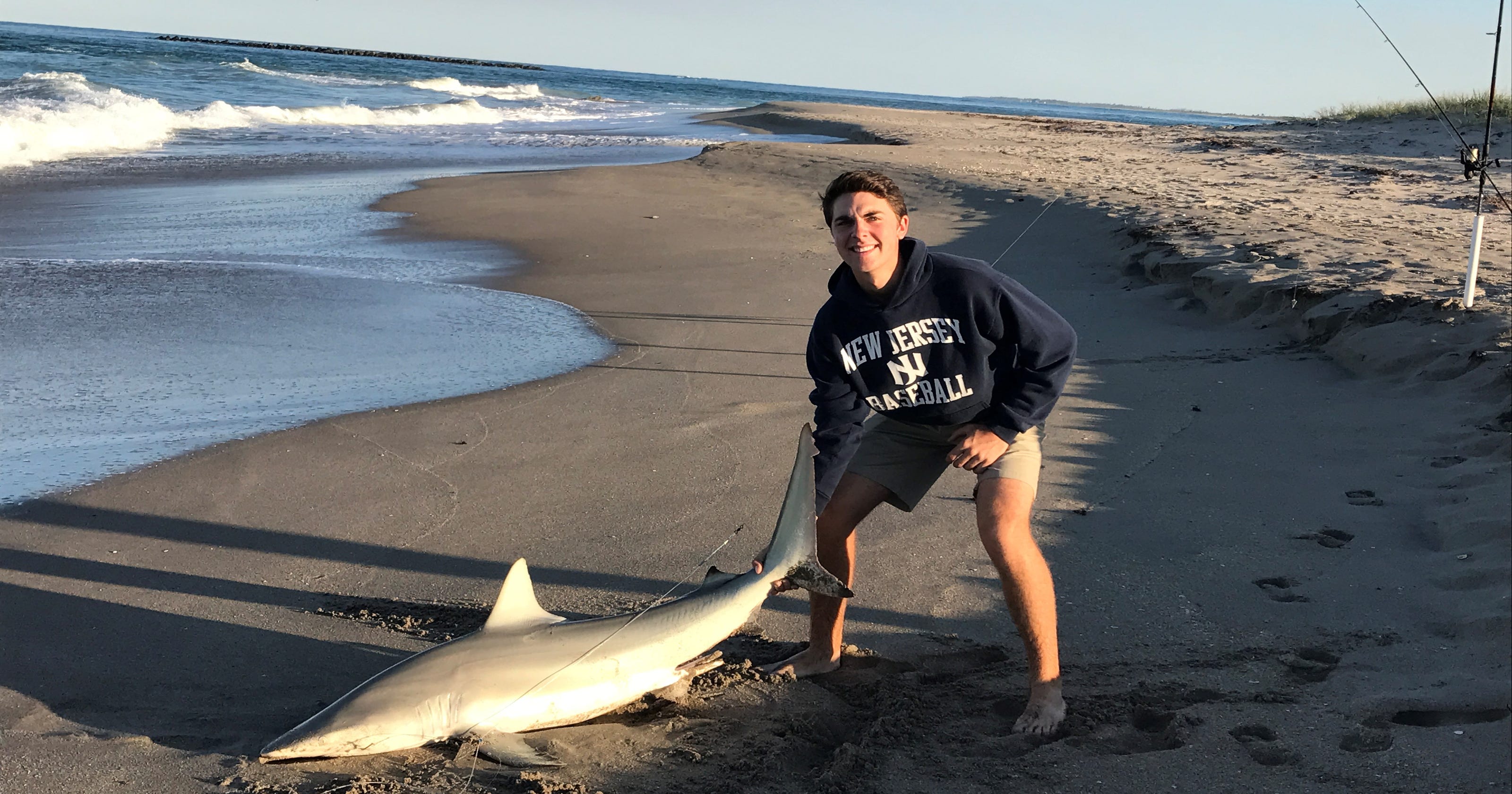 Florida looks to ban chumming waters near beaches to attract sharks