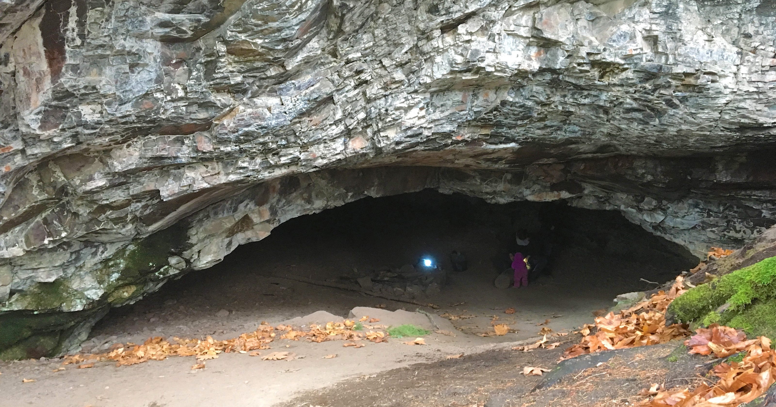 Washington's Layser Cave an intact dwelling 7,000 years old