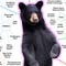 Chart: Browse the 129 beloved bears of pop culture
