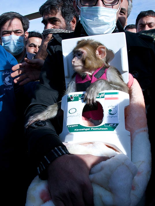 Iran sends second monkey into space Iran sends second monkey into space