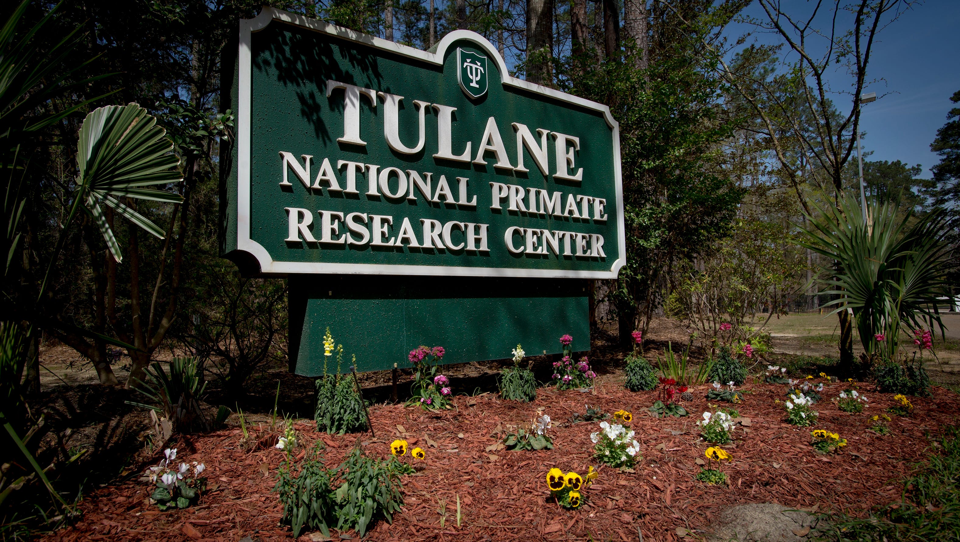 635629070943429555-Tulane-sign-photo.jpg?width=3155&height=1782&fit ...